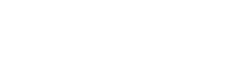 Auto Auction Platform - VMS Auto Auctions
